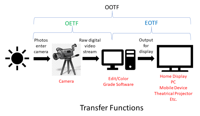 Transfer Functions and Their Functions in High Dynamic Range Workflow